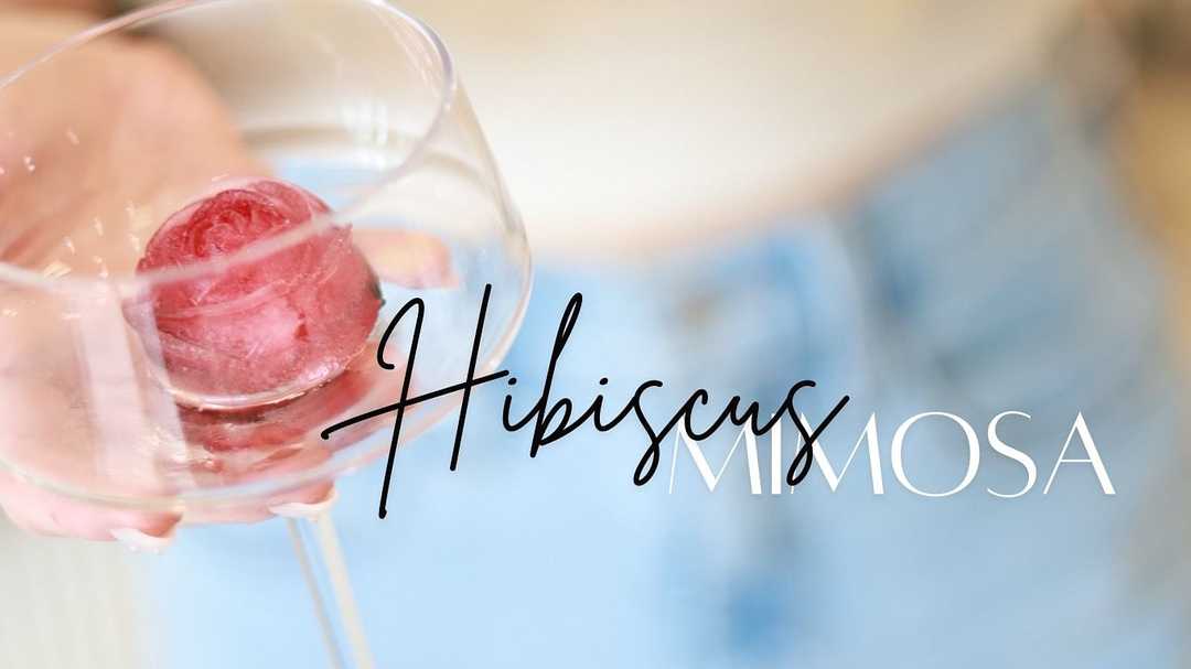 Salon Special Offers in Sarasota | Musart Salon